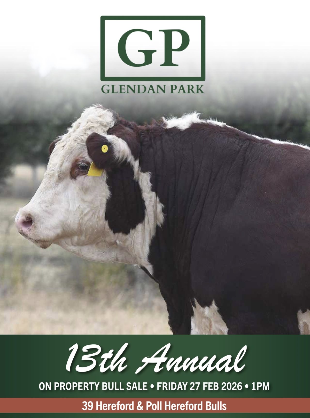 Glendan Park 2026 On Property Bull Sale – Feb 27th | studstocksales