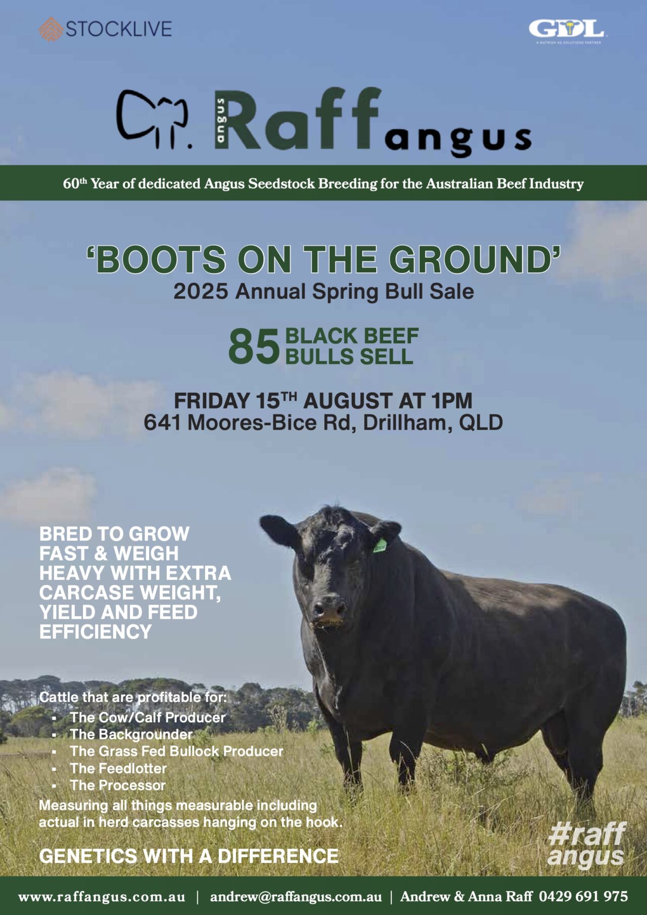 RAFF Angus 2025 ‘BOOTS ON THE GROUND’ Spring Bull Sale – Aug 15th ...