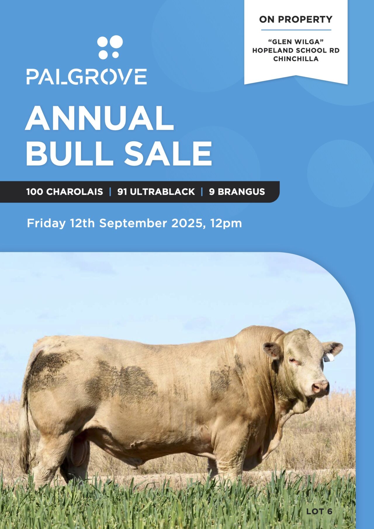Palgrove 2025 Annual Bull Sale – Sept 12th | studstocksales