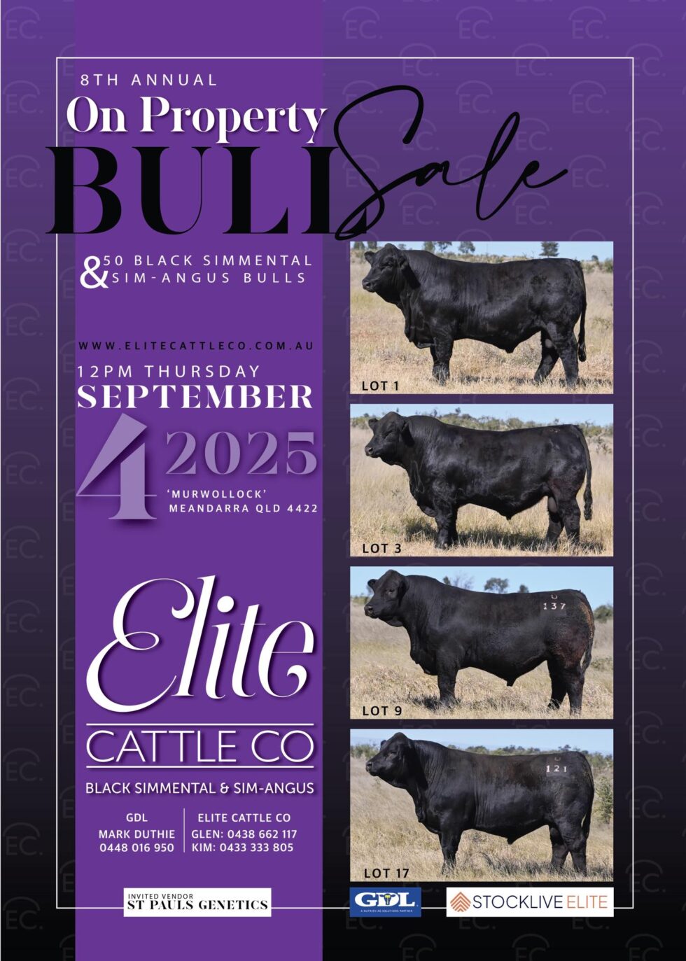 Elite Cattle Co 2025 Black Simmental Bull Sale – Sept 4th | studstocksales