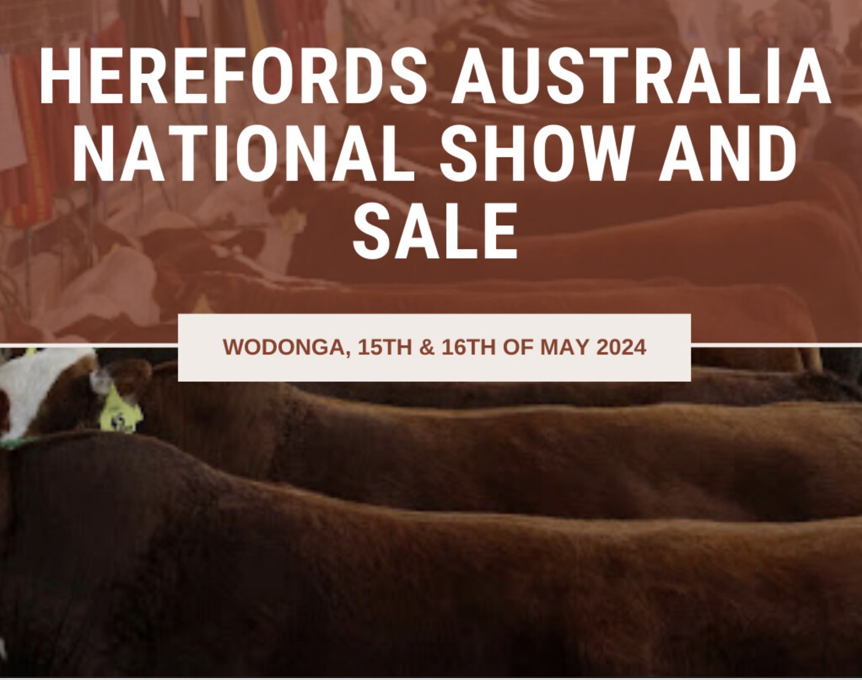 60th Herefords Australia National Show and Sale (Wodonga) – May 14 ...