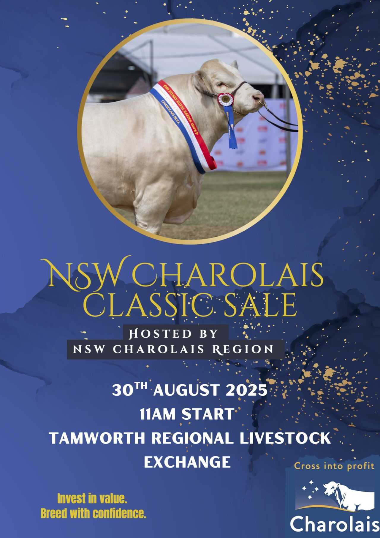 NSW Charolais Classic Sale – Aug 30th | studstocksales